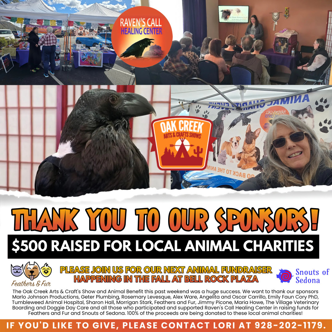 Animal Charities | Raven's Call – Spiritual and Sound Healing Sedona ...